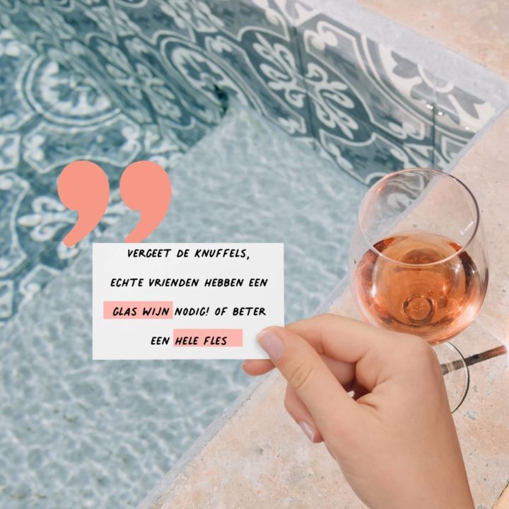 Quotes wijn: 14 hilarische teksten om samen te drinken & te lachen