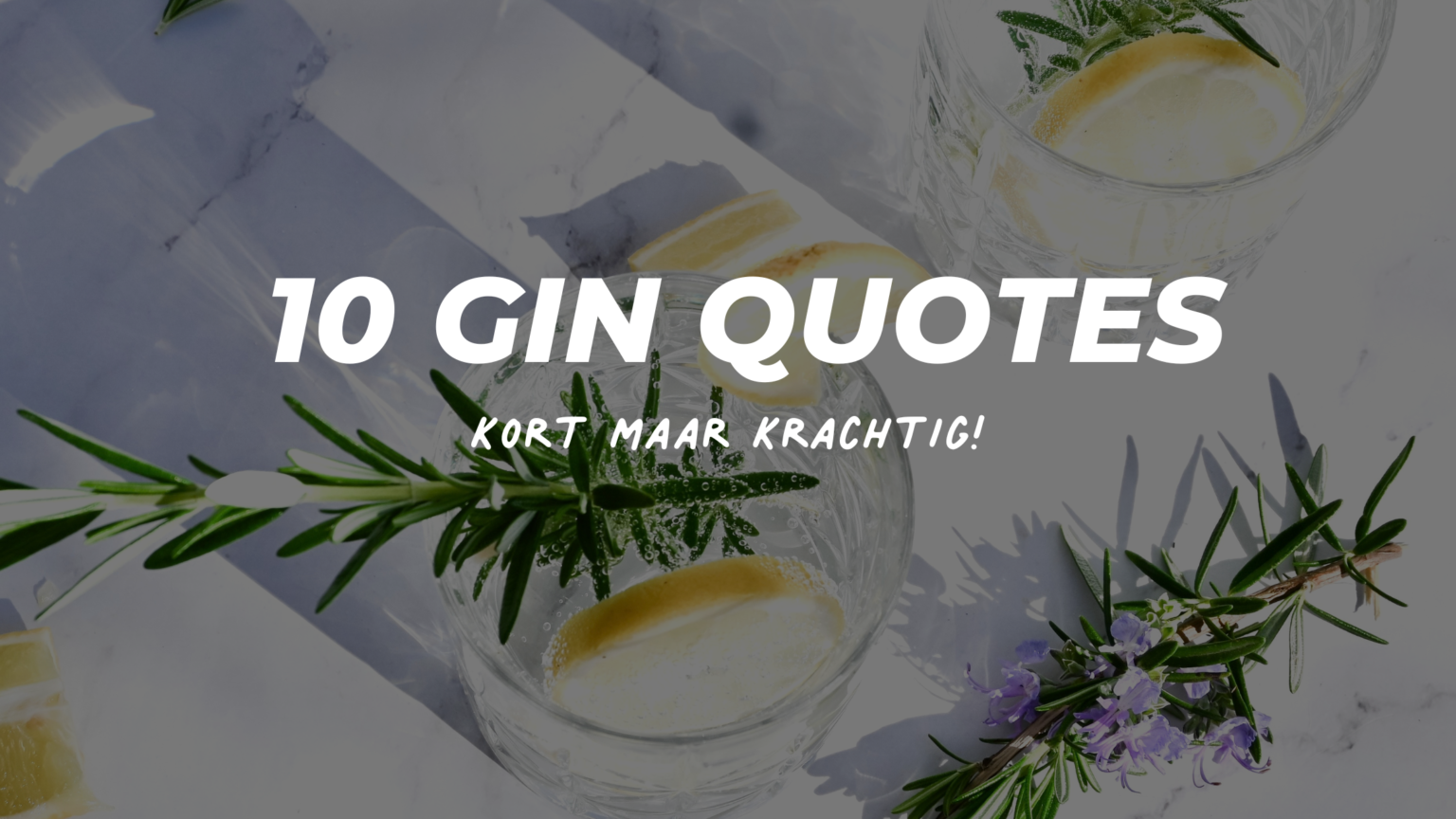 10 gin quotes waar je zeker dorst van krijgt - Radbag Blog