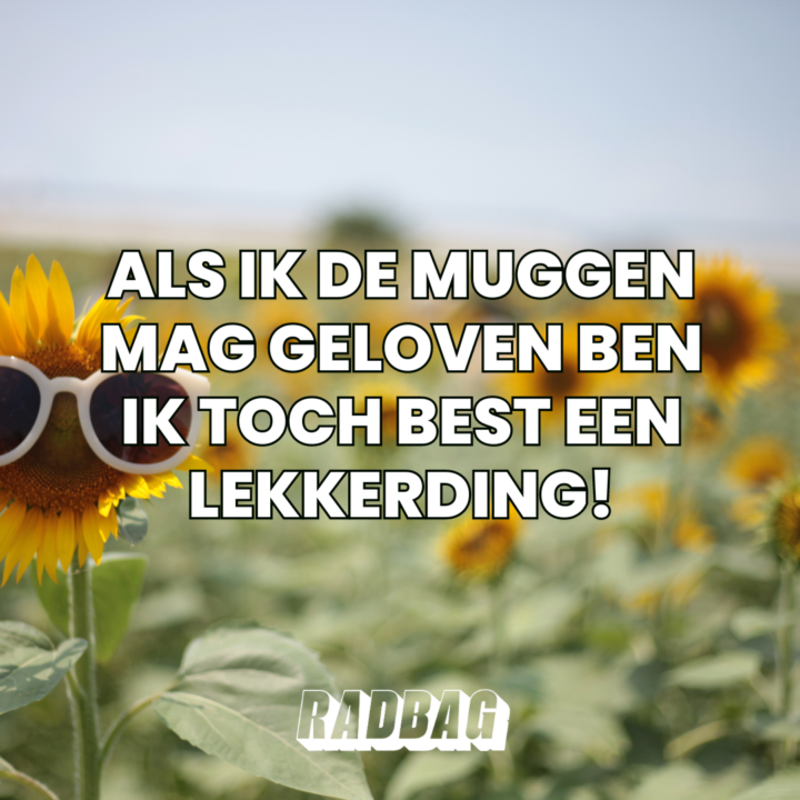 10 grappige quotes voor de zomer: kort maar krachtig! - Radbag Blog